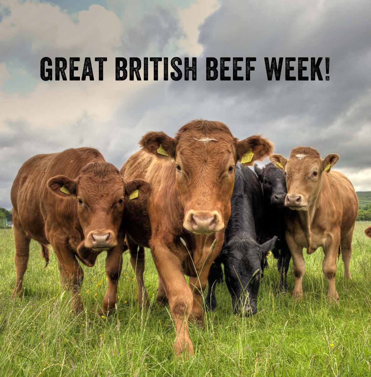 It's Great British Beef Week! - m-eat! Premium Biltong